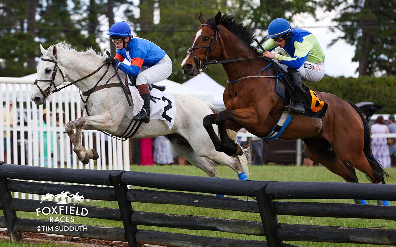 Jump Into Racing Recap - StableDuel
