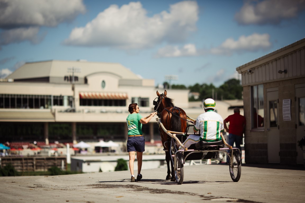 Adios Pace at The Meadows - StableDuel